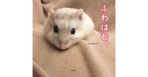 tommo＊／著「ふわはむ。」| 新潮社の電子書籍